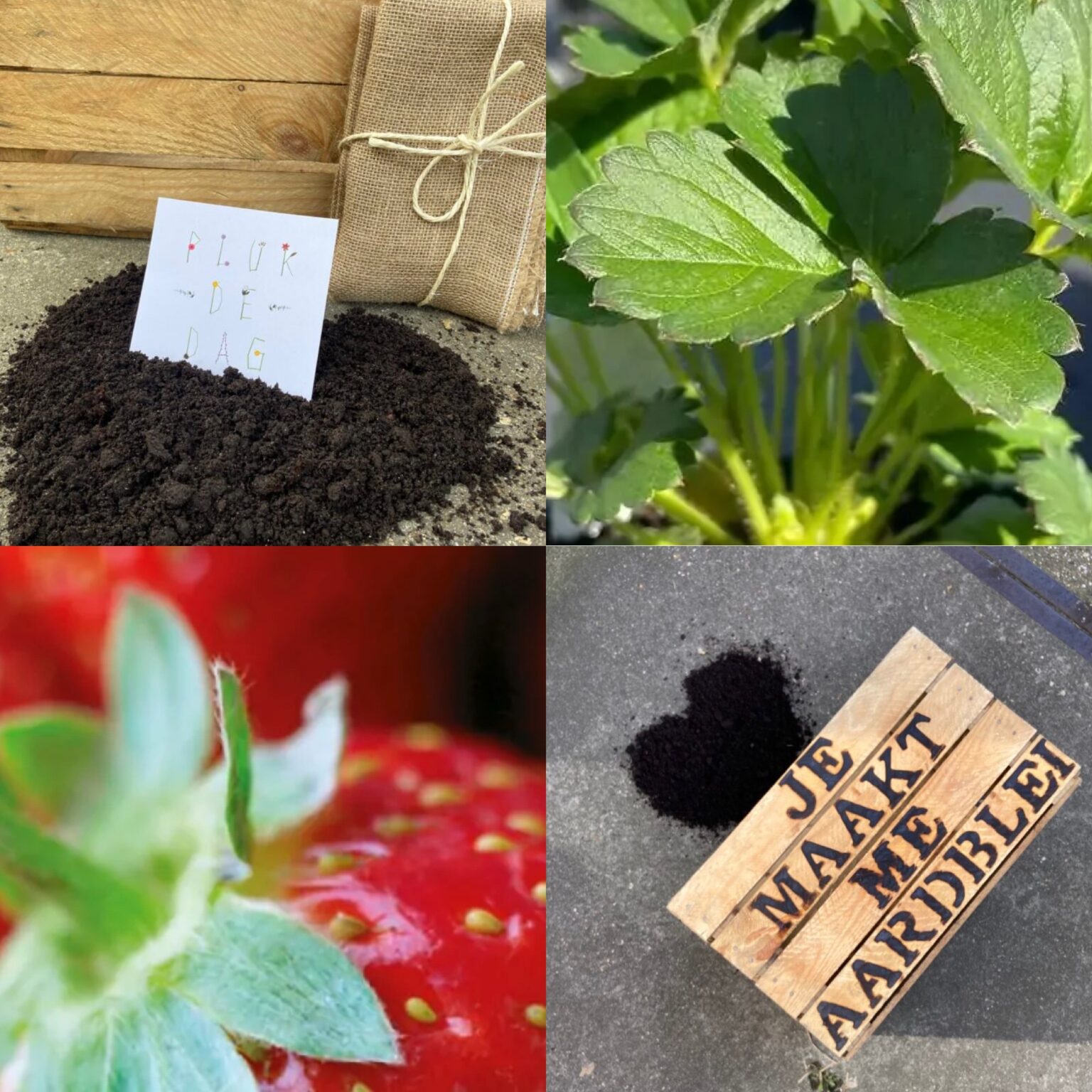 TUINTJE Duurzaam & Groen Cadeau / Cadeaupakket - LiefsLabel