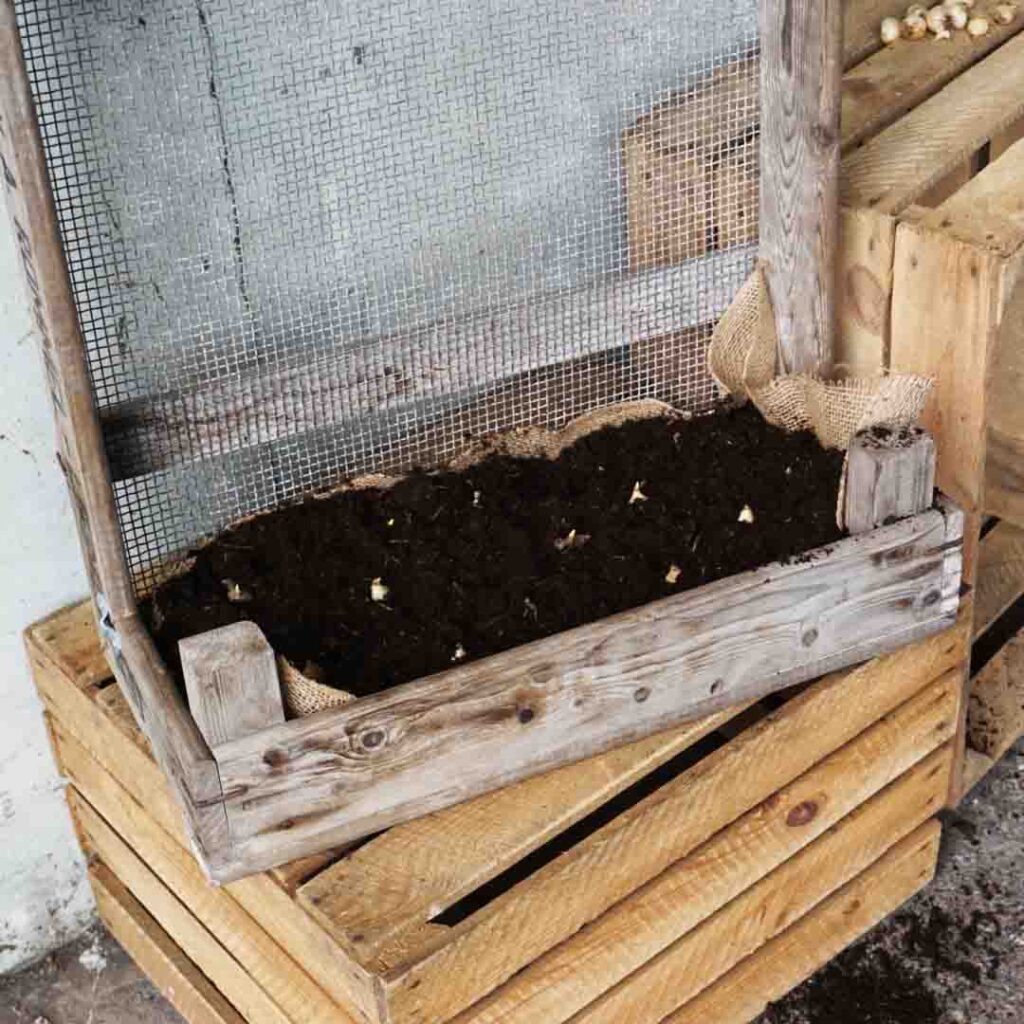 BLOEIBAK Duurzaam Cadeau / Cadeaupakket / Kerstpakket - LiefsLabel